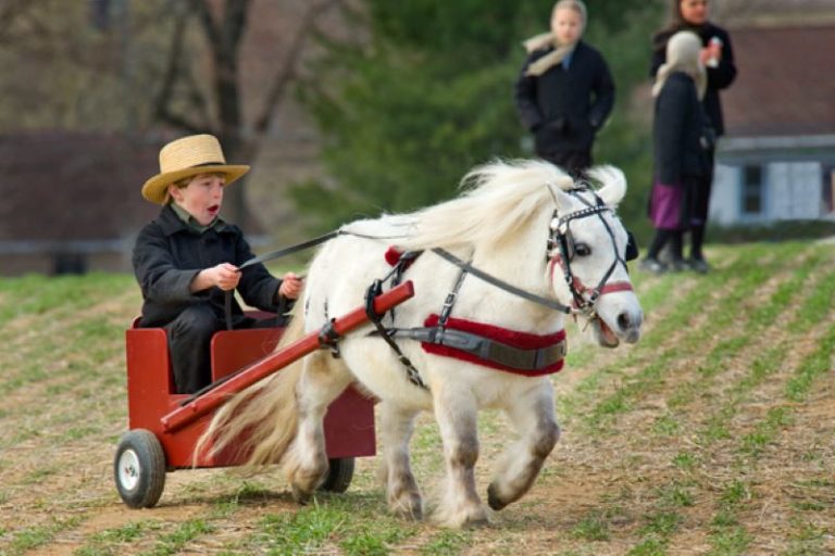 Interesting Facts About the Mysterious Amish: 25 Photos